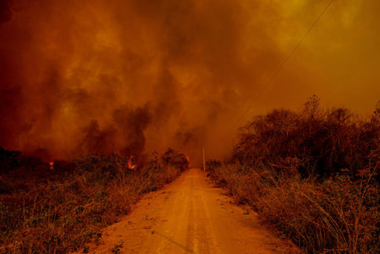 Queimadas No Pantanal Incêndios Devastam Turismo E Sua Principal